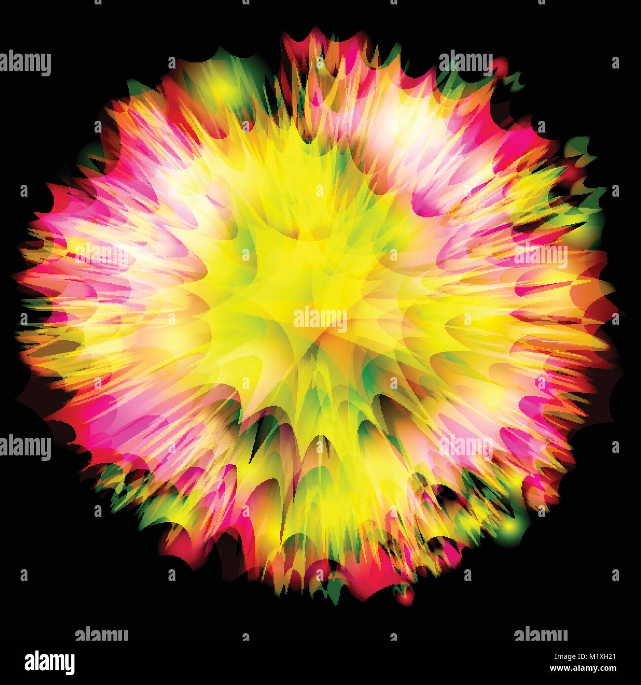 Pink explosion rose hi-res stock photography and images - Alamy