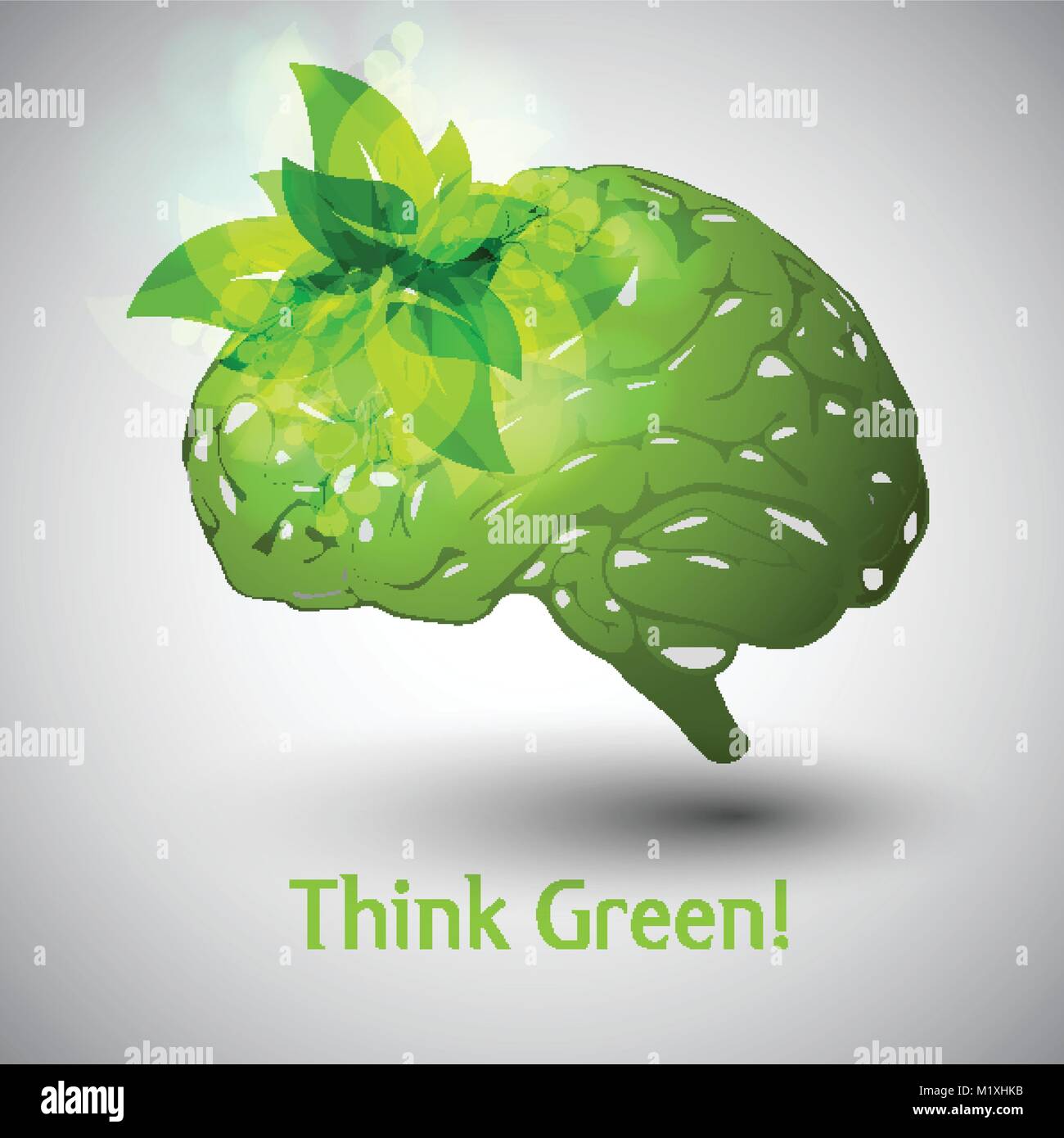 Green brain hi-res stock photography and images - Alamy