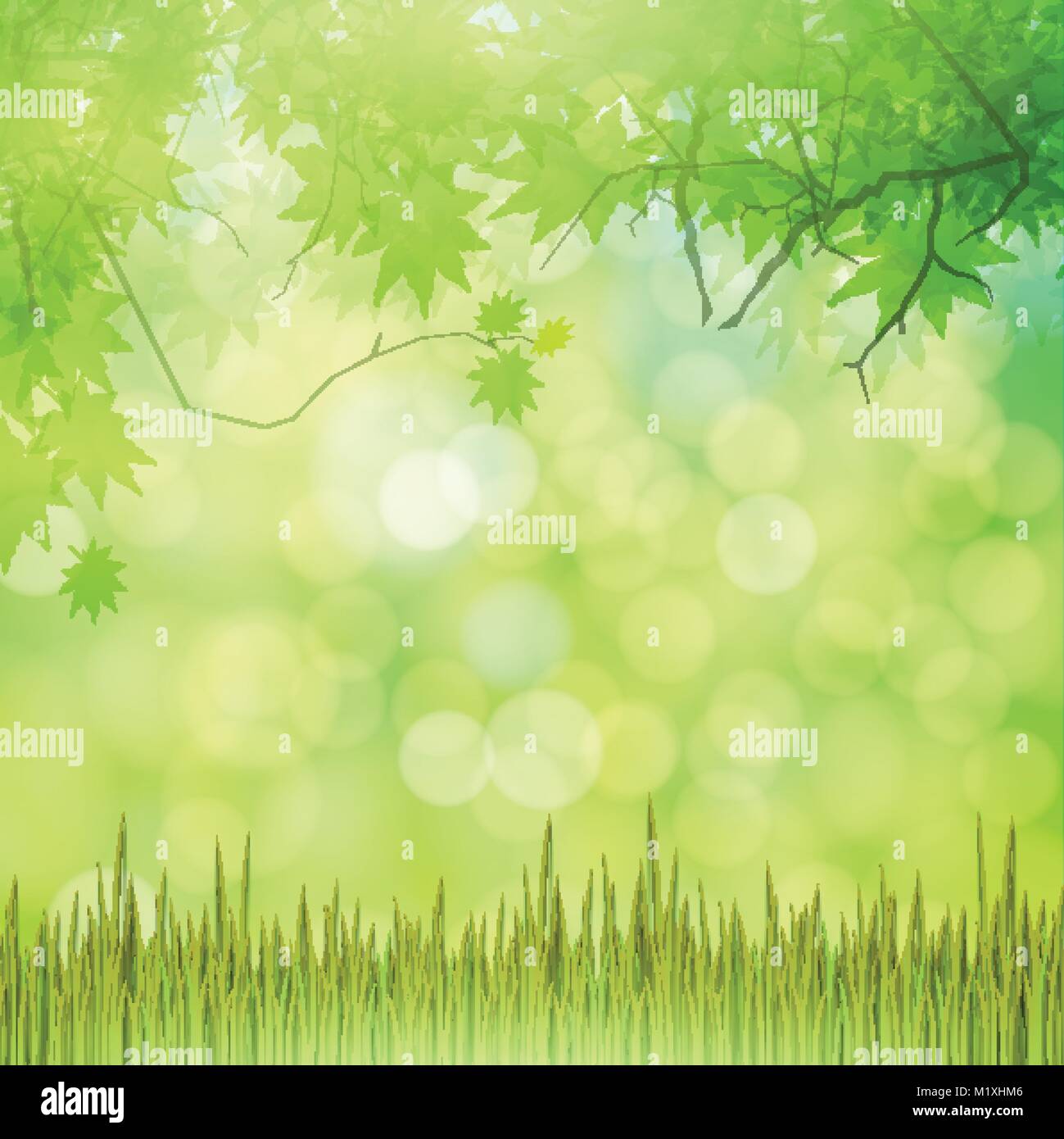 Natural green background with vector grass Stock Vector Image & Art - Alamy