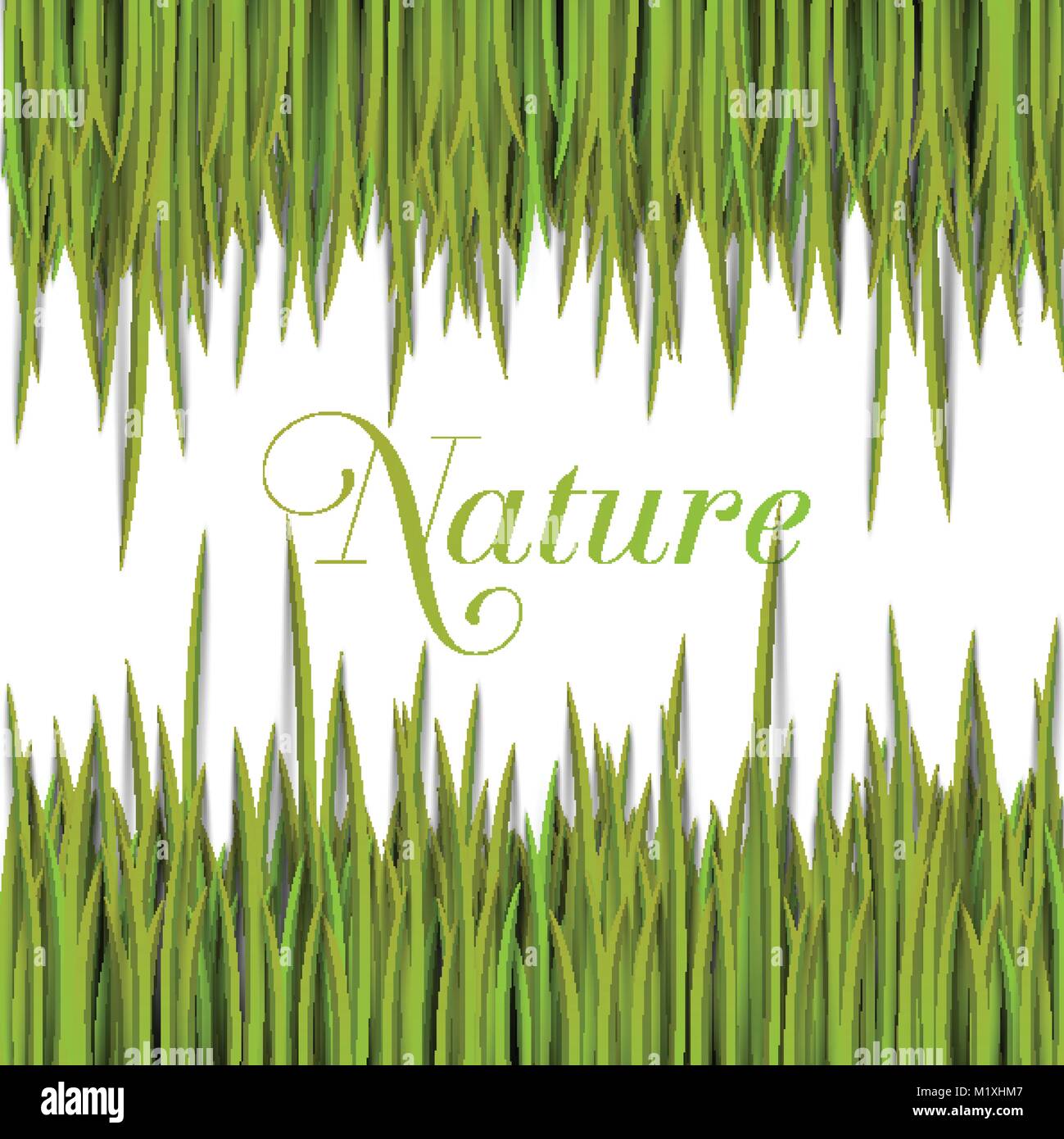 Natural green template with vector grass Stock Vector Image & Art - Alamy