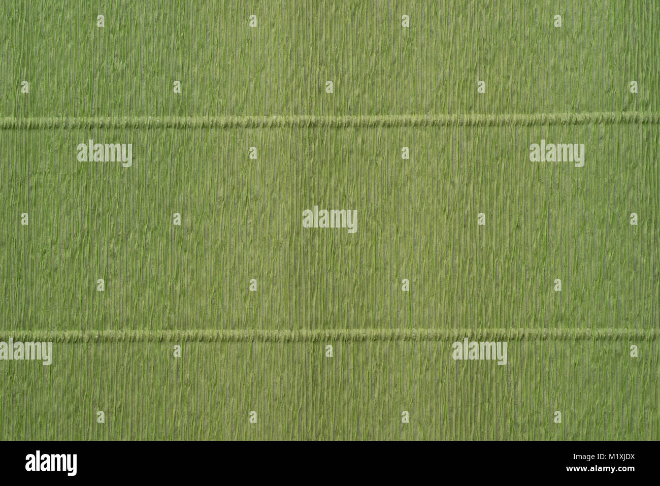 green color crepe paper texture background Stock Photo - Alamy