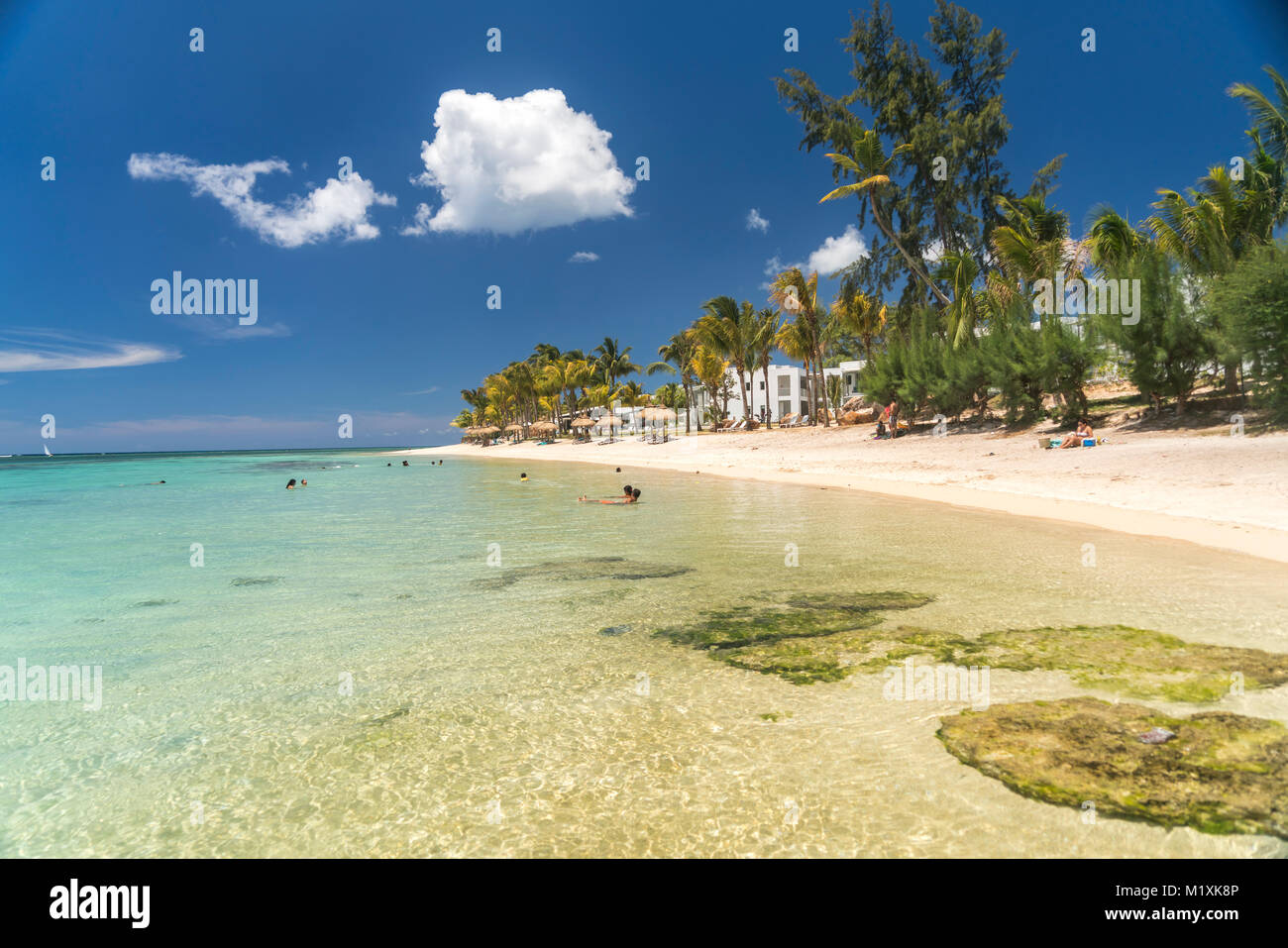 Traumstrand an der Bucht von Turtle Bay, Mauritius, Afrika, | Dream ...