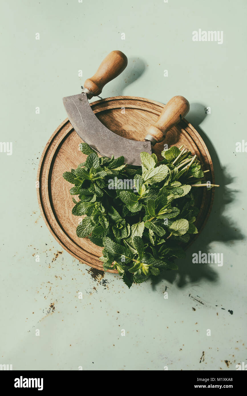 Bundle of fresh mint Stock Photo - Alamy