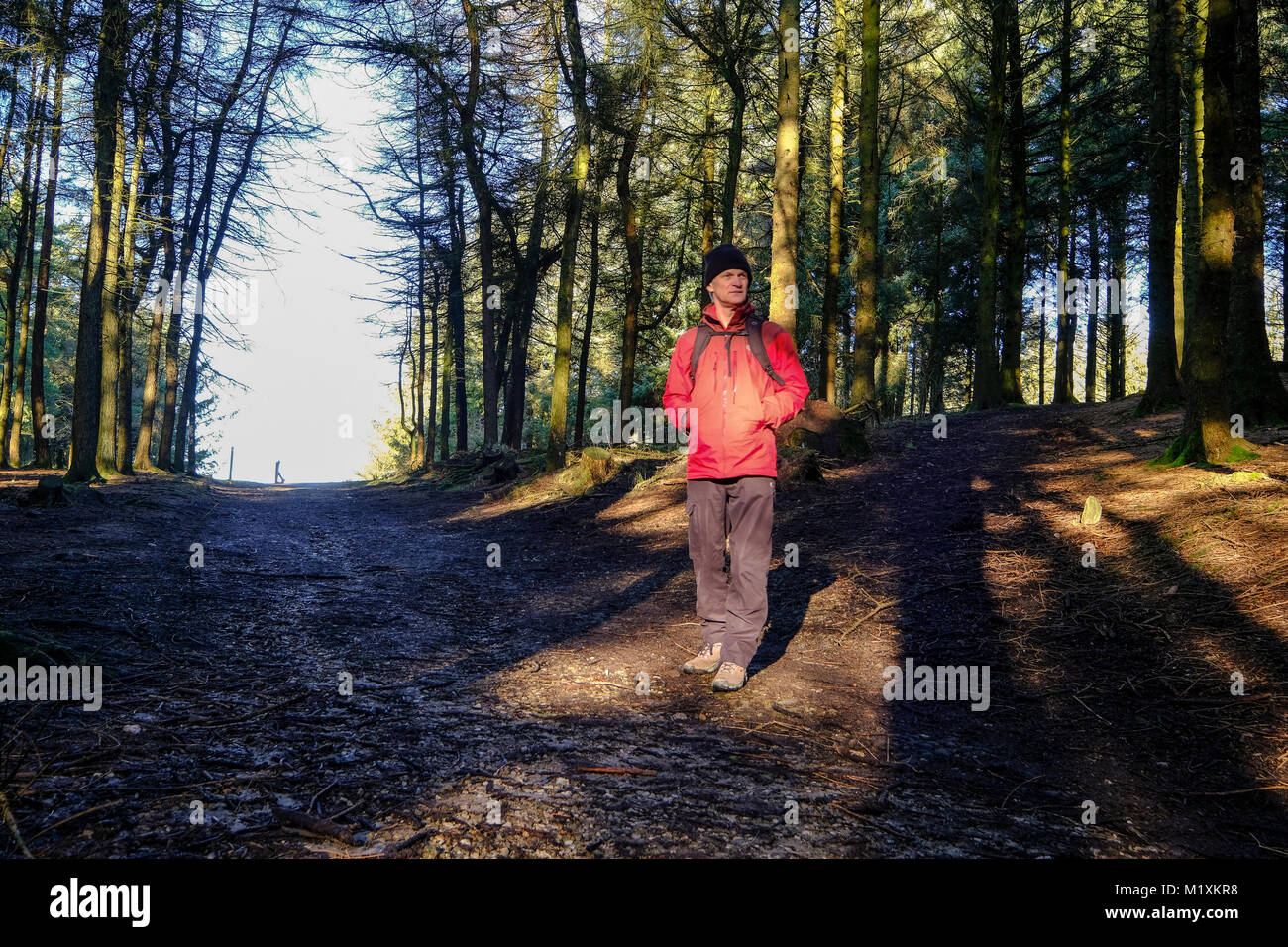 Beacon fell country park lancashire hi-res stock photography and images ...
