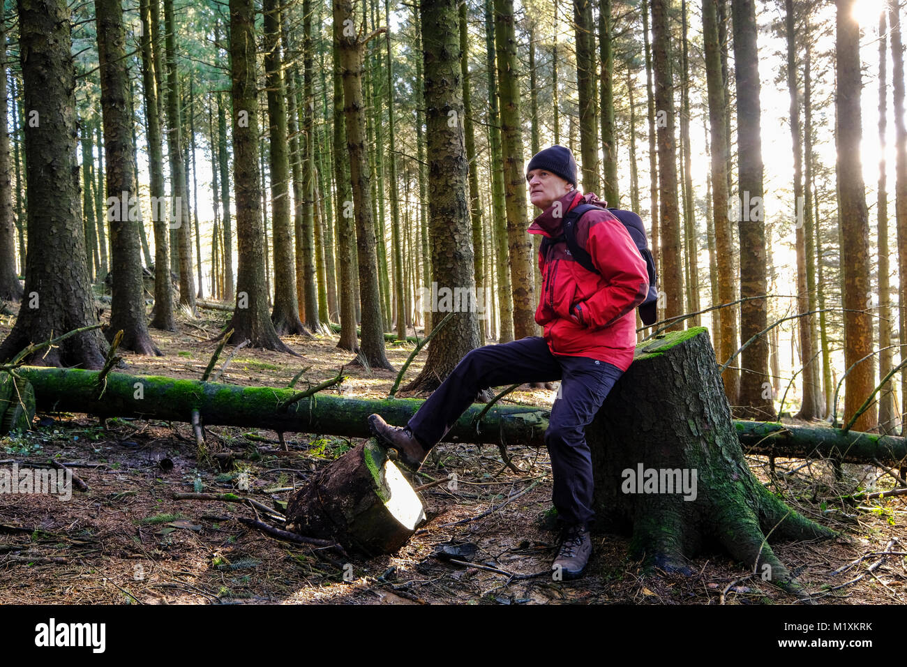 Beacon Fell, Country Park, Lancashire Stock Photo - Alamy