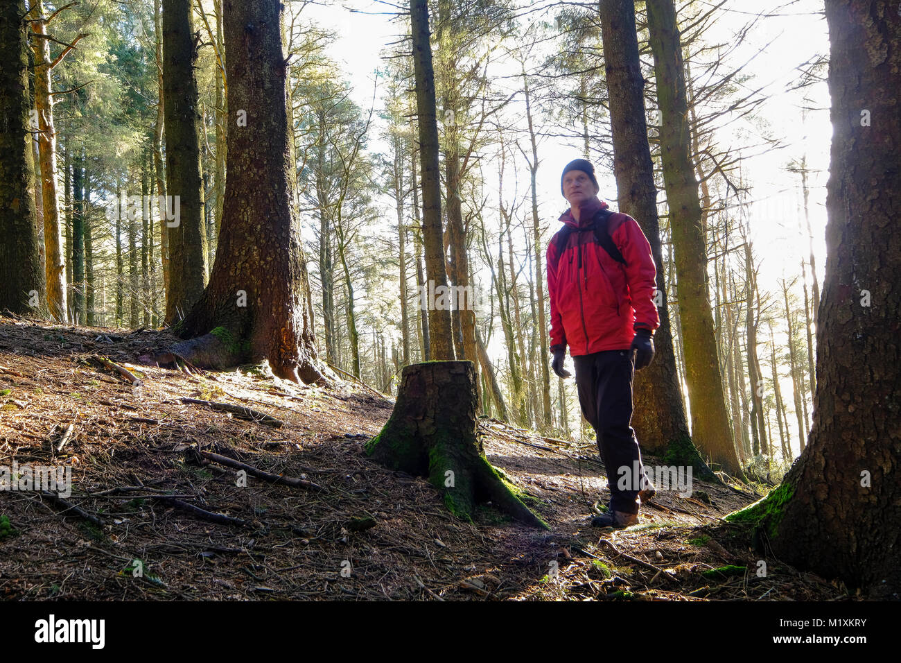 Beacon Fell, Country Park, Lancashire Stock Photo - Alamy