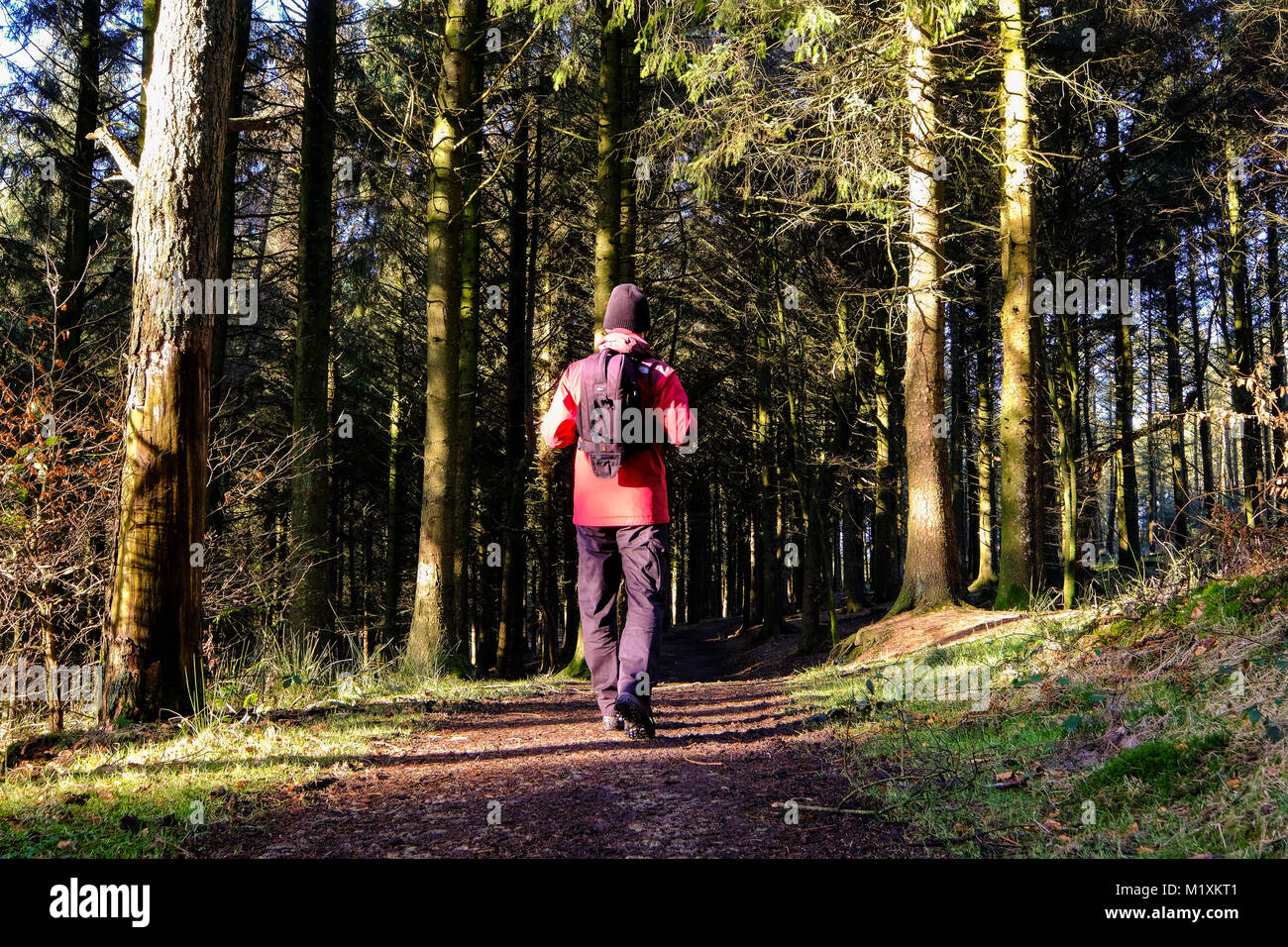 Beacon Fell, Country Park, Lancashire Stock Photo - Alamy