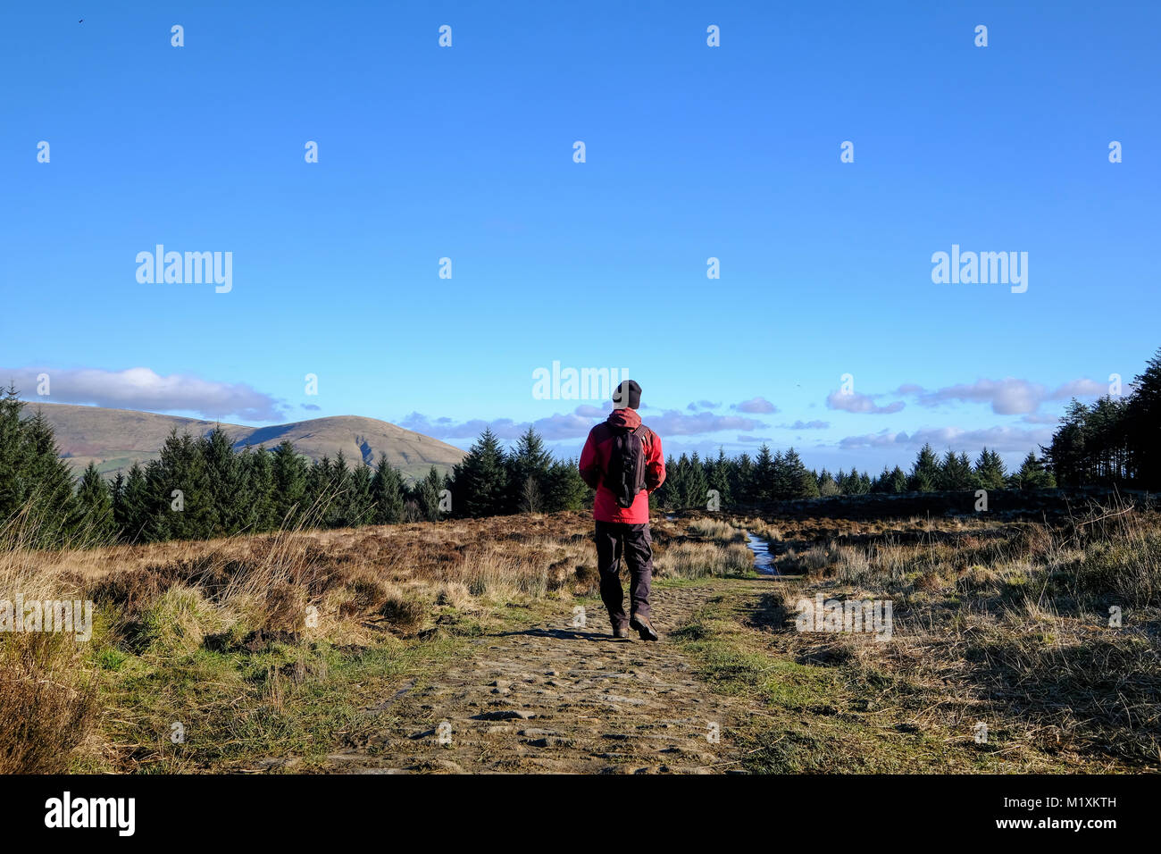 Beacon Fell, Country Park, Lancashire Stock Photo - Alamy