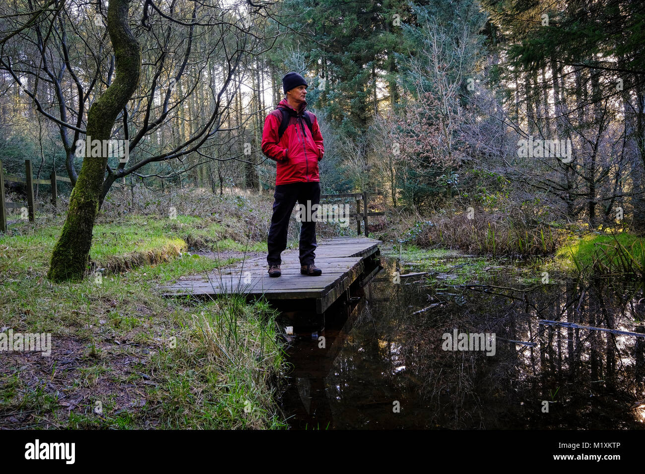 Beacon Fell, Country Park, Lancashire Stock Photo - Alamy