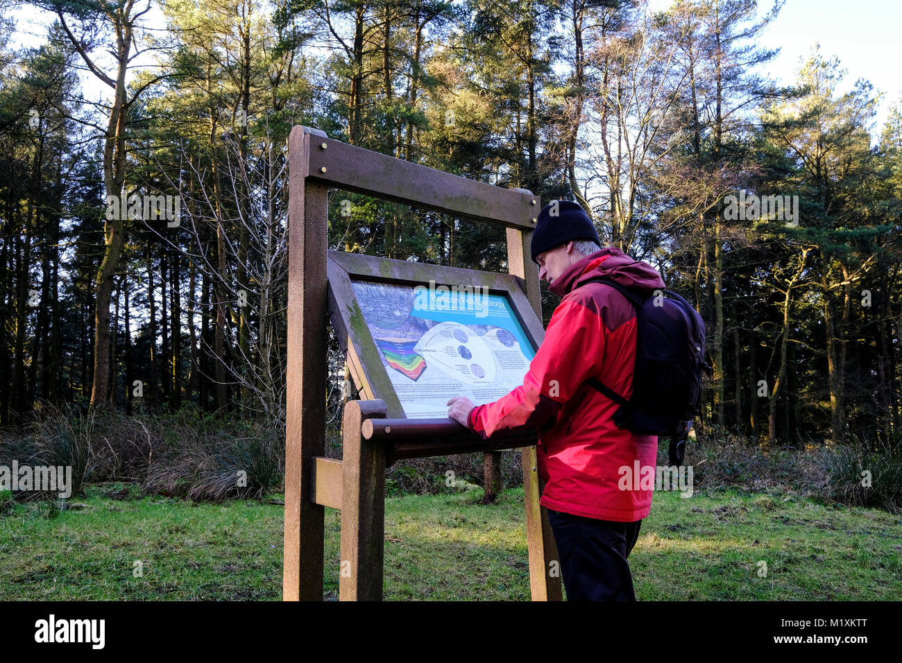 Beacon Fell, Country Park, Lancashire Stock Photo - Alamy