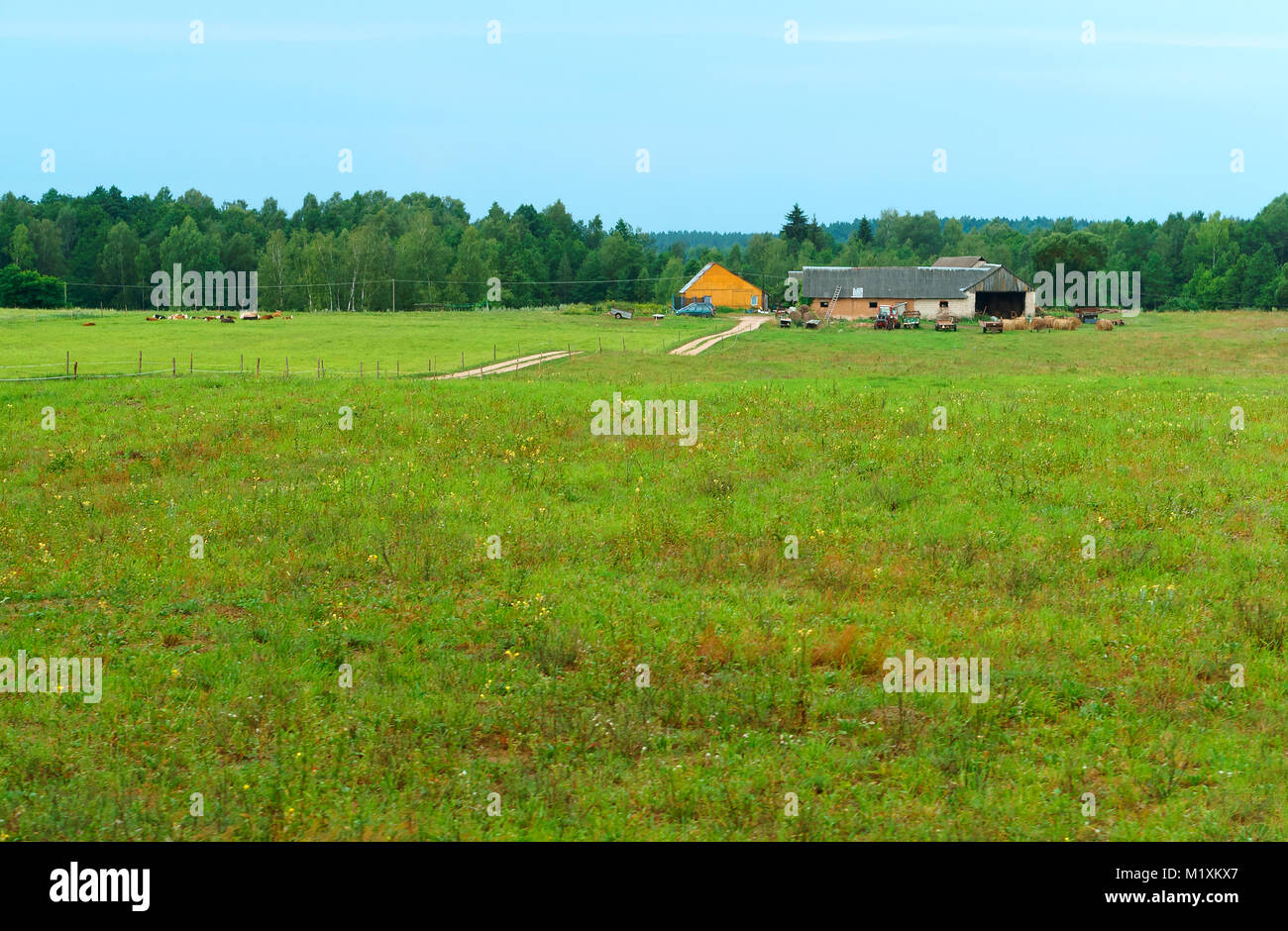 Rural scape hi-res stock photography and images - Alamy