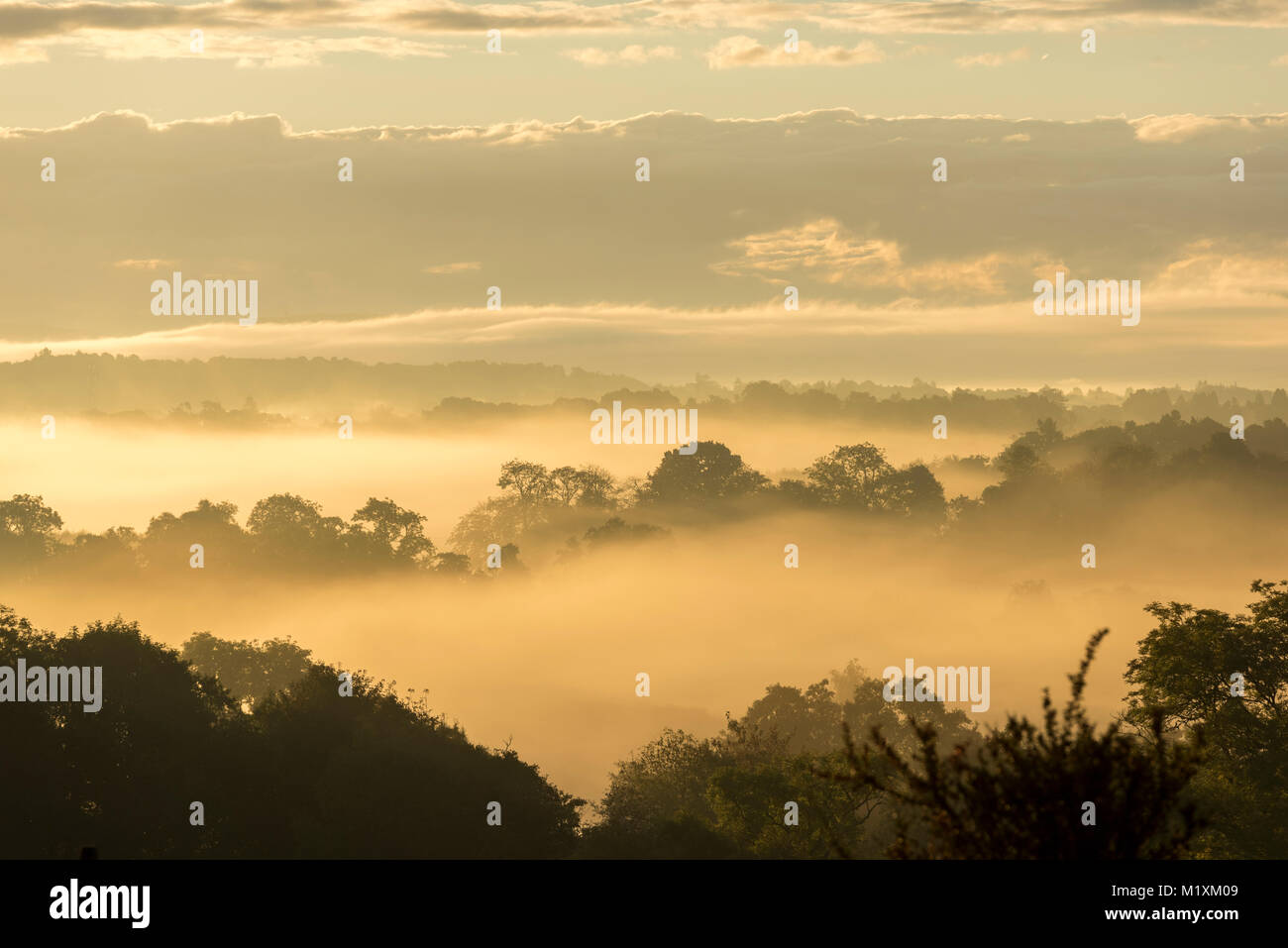 Early morning sunrise as mist covers the autumn landscape on the road ...