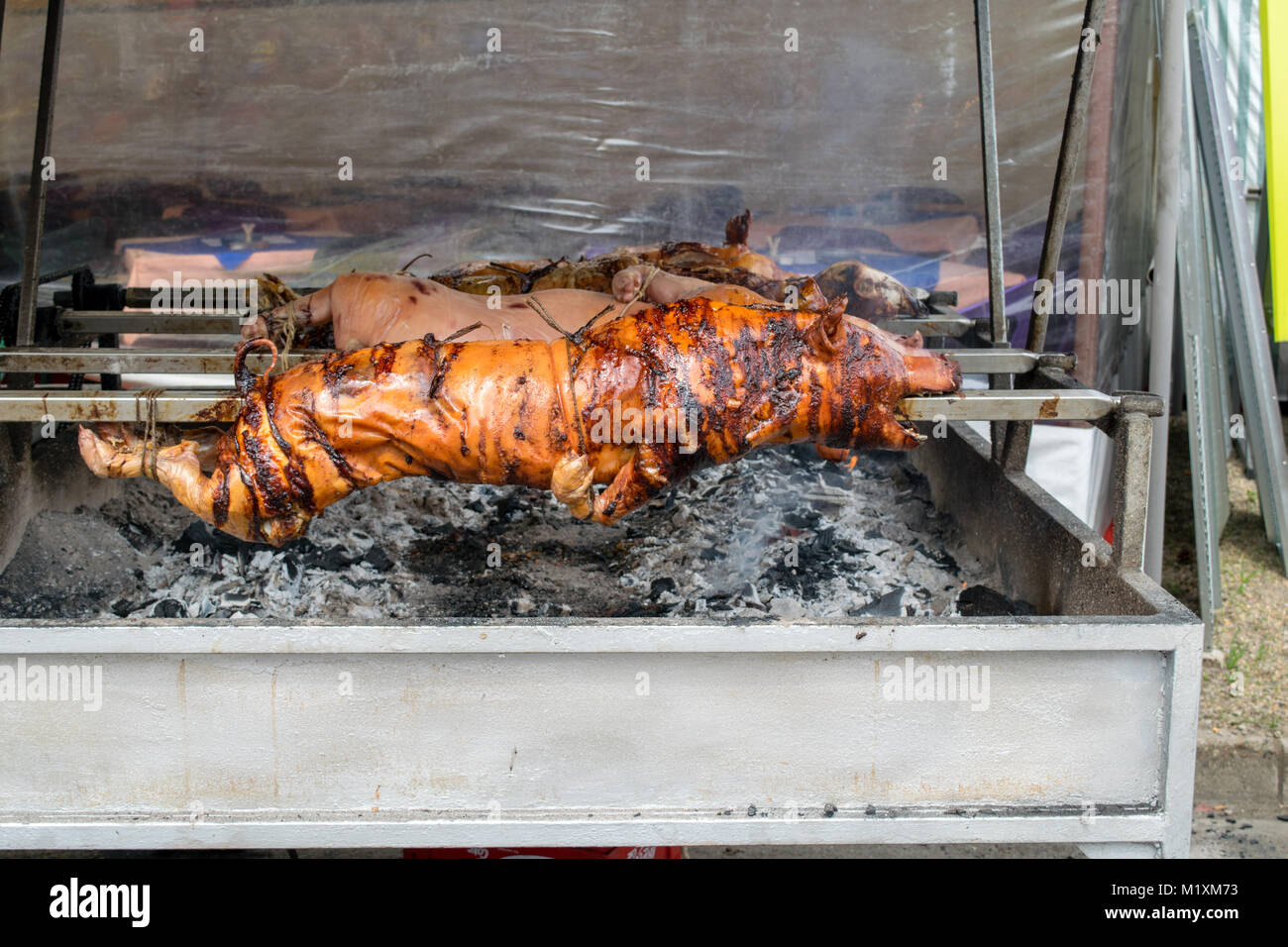 Roasted suckling pig on a rotating spit, Pig roast Stock Photo - Alamy
