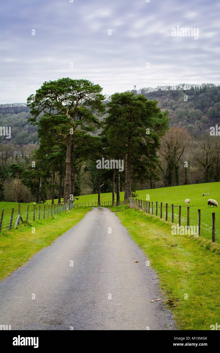 Pathway through the countryside hi-res stock photography and images - Alamy