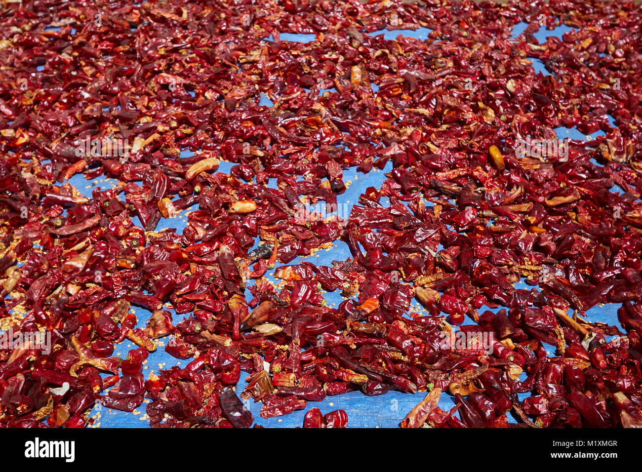Red chillies being dried under the Sun in Bhutan Stock Photo - Alamy