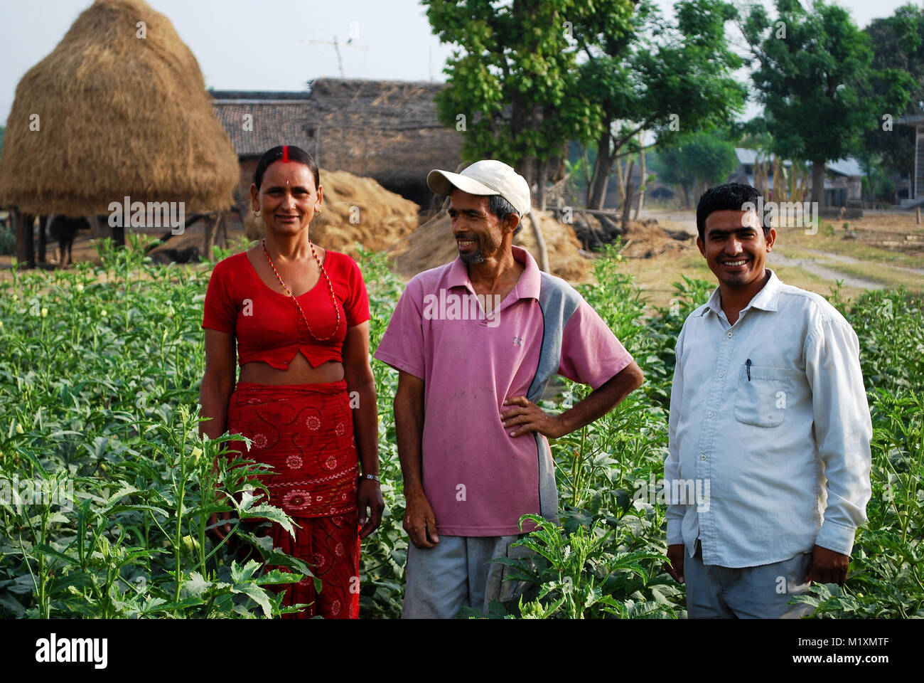 Indian rural peasants hi-res stock photography and images - Alamy