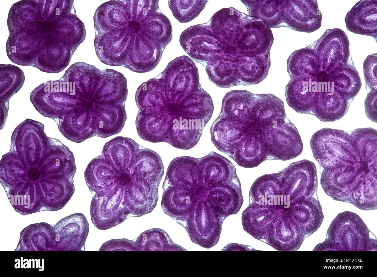 violet candy, hard candy in shape of violet flower, aromatized with ...