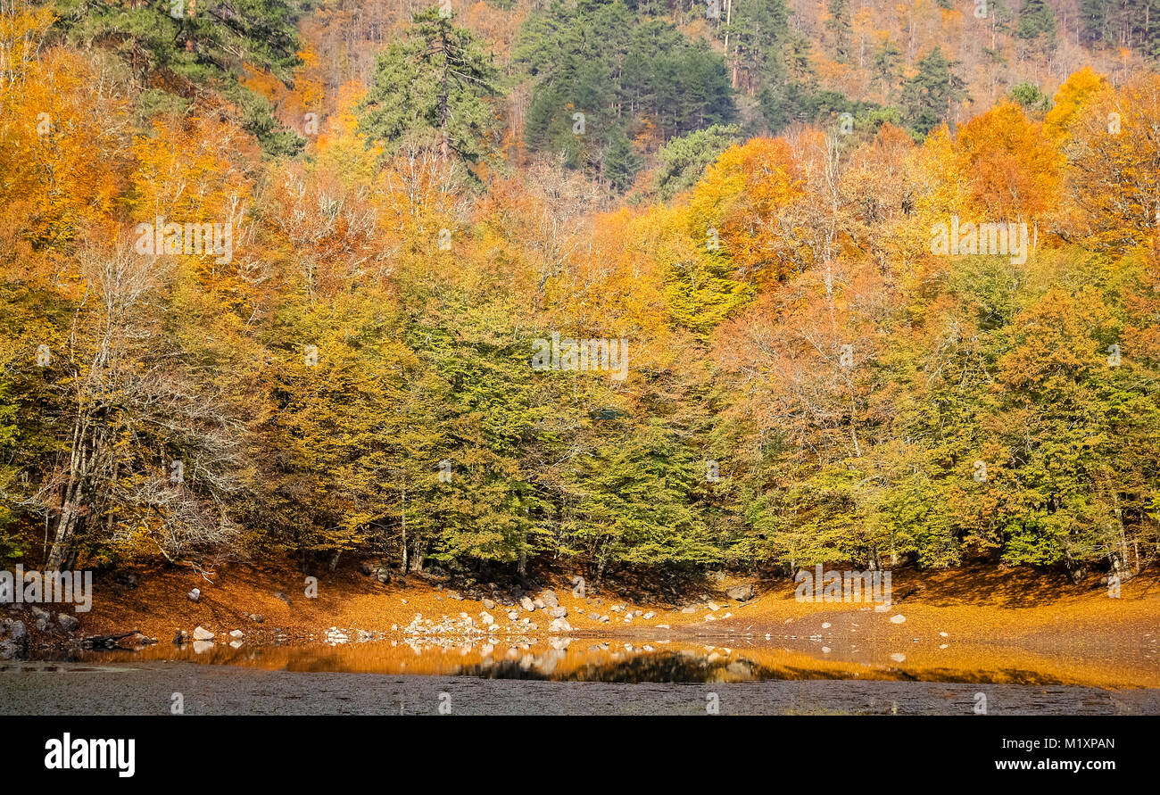 Nazli Lake in Yedigoller National Park, Bolu, Turkey Stock Photo - Alamy