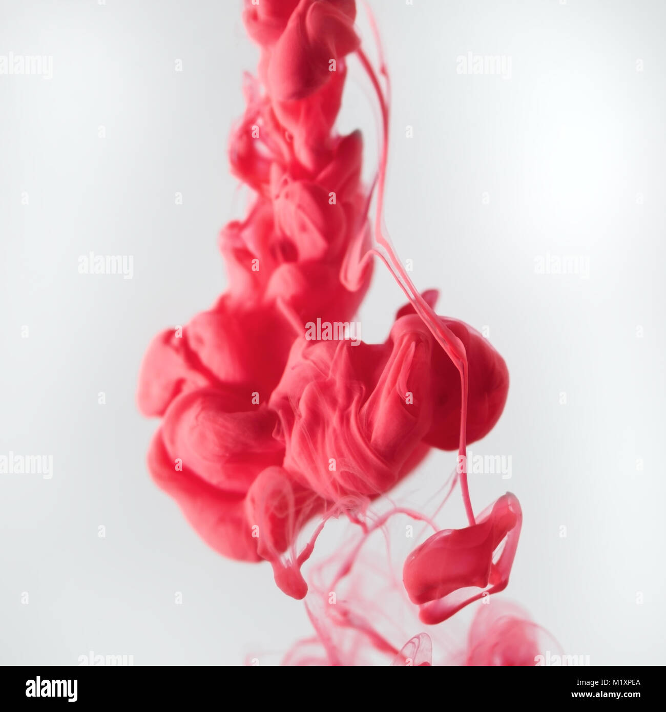 Pink ink splash in water on white Stock Photo - Alamy