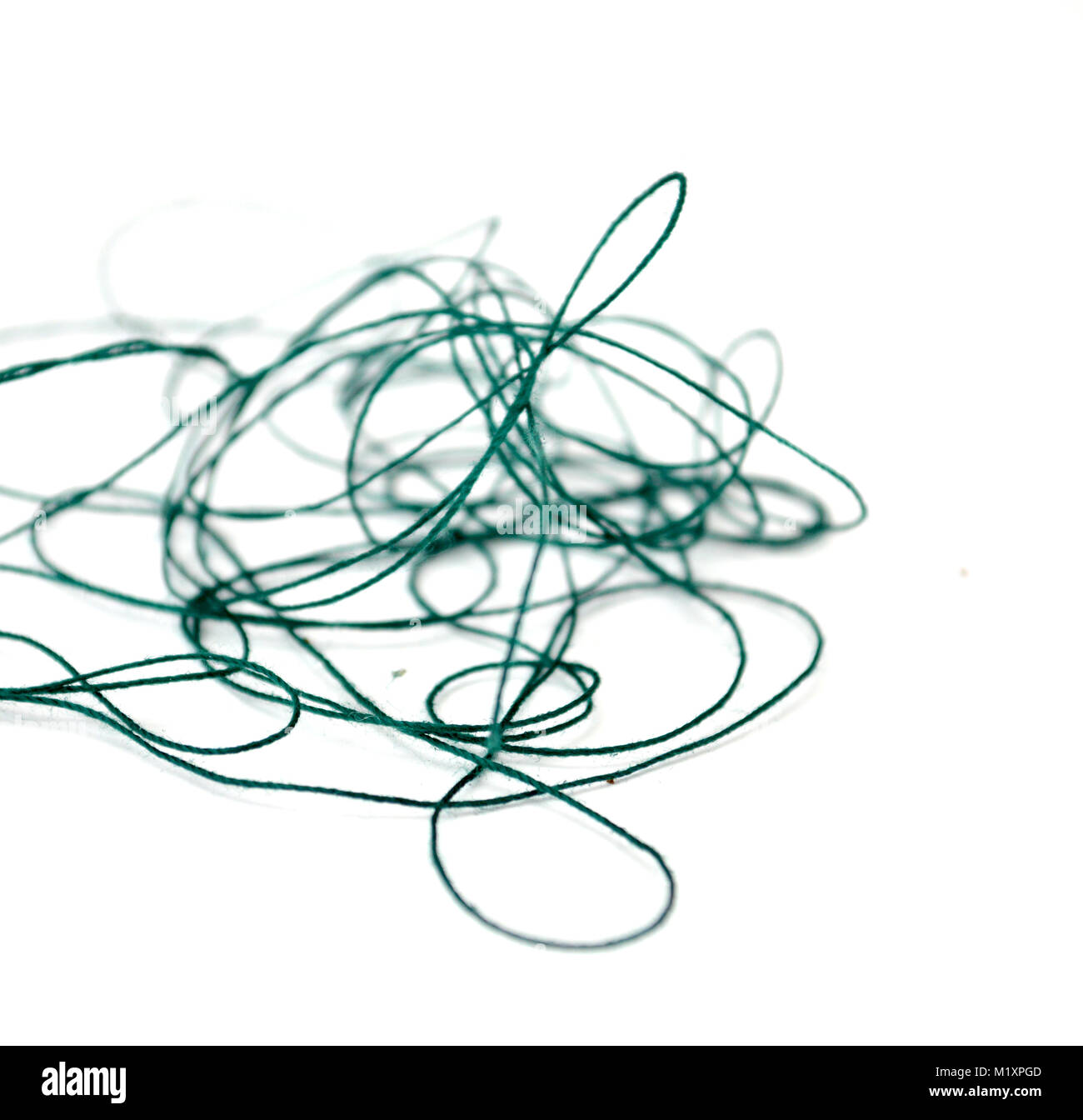 the green rope on white background., shallow dof, image of a Stock ...