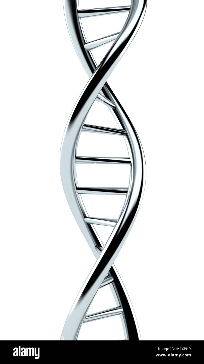 DNA isolated on white background Stock Photo - Alamy