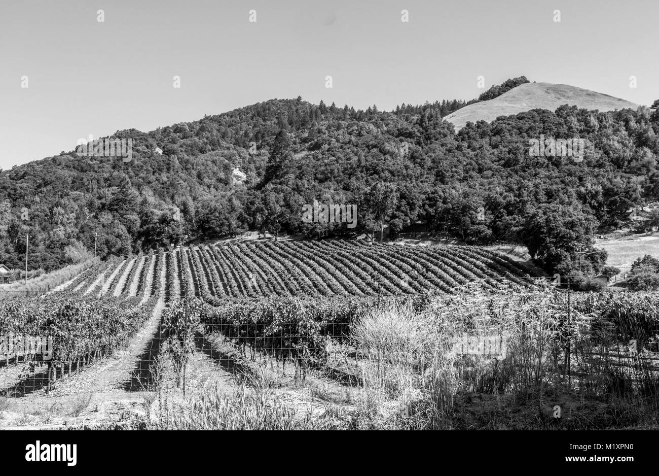 Agriculture drought california Black and White Stock Photos & Images ...