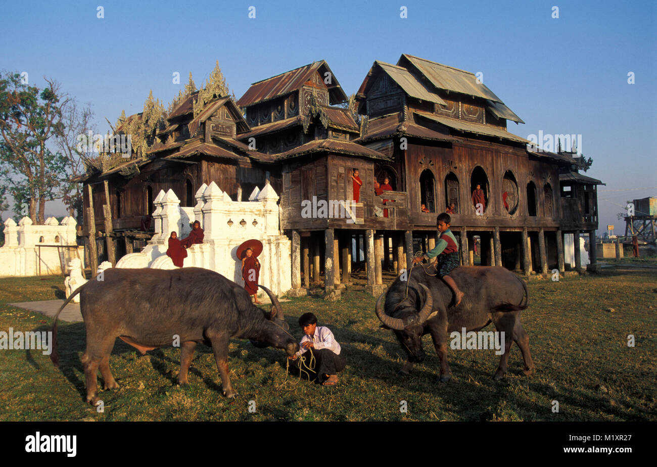 Myanmar (Burma). Inle Lake. Monastery for young monks (novices). Water ...