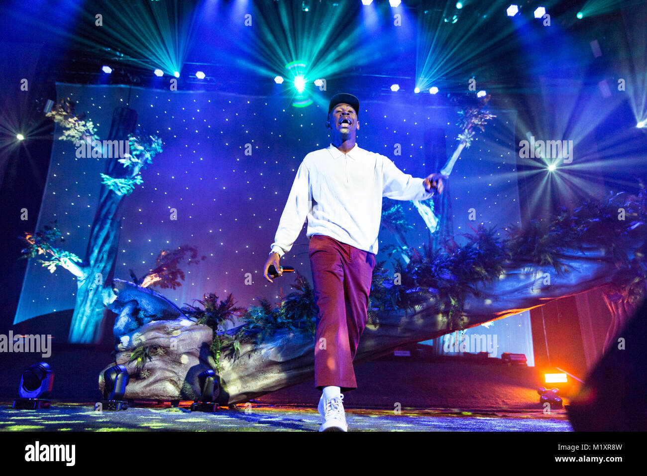 Tyler the creator flower boy tour - lanamemory