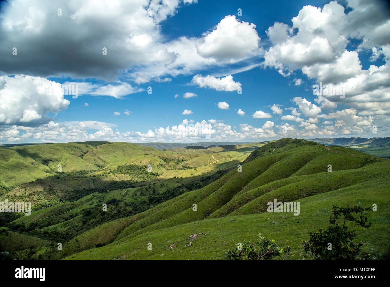 National park serra canastra brazil Stock Photo - Alamy