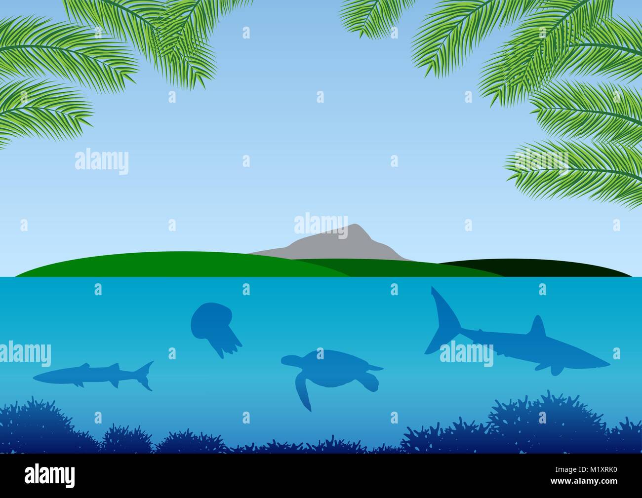 Tropical sea with underwater life background with a text space Stock ...