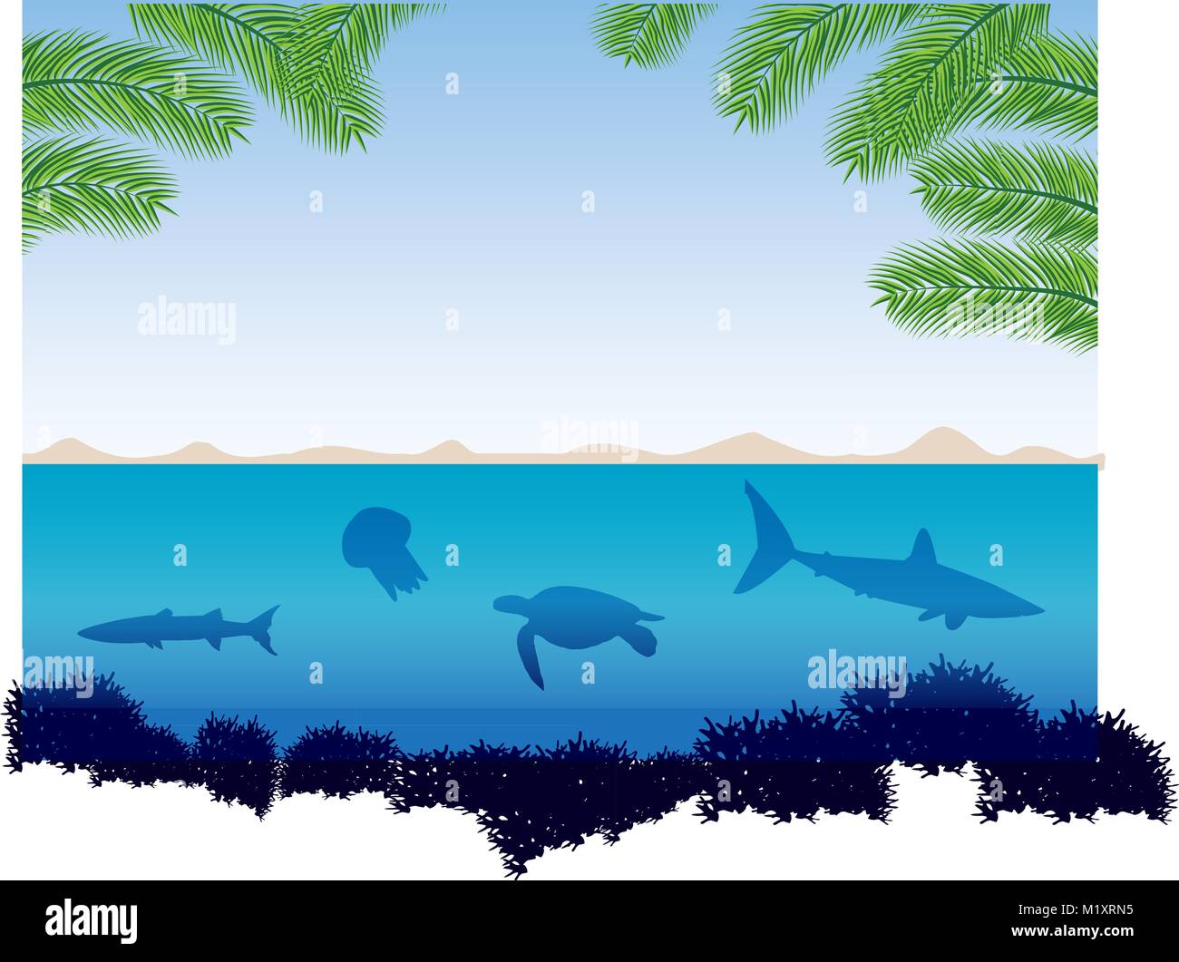 Tropical sea with underwater life background with a text space Stock ...