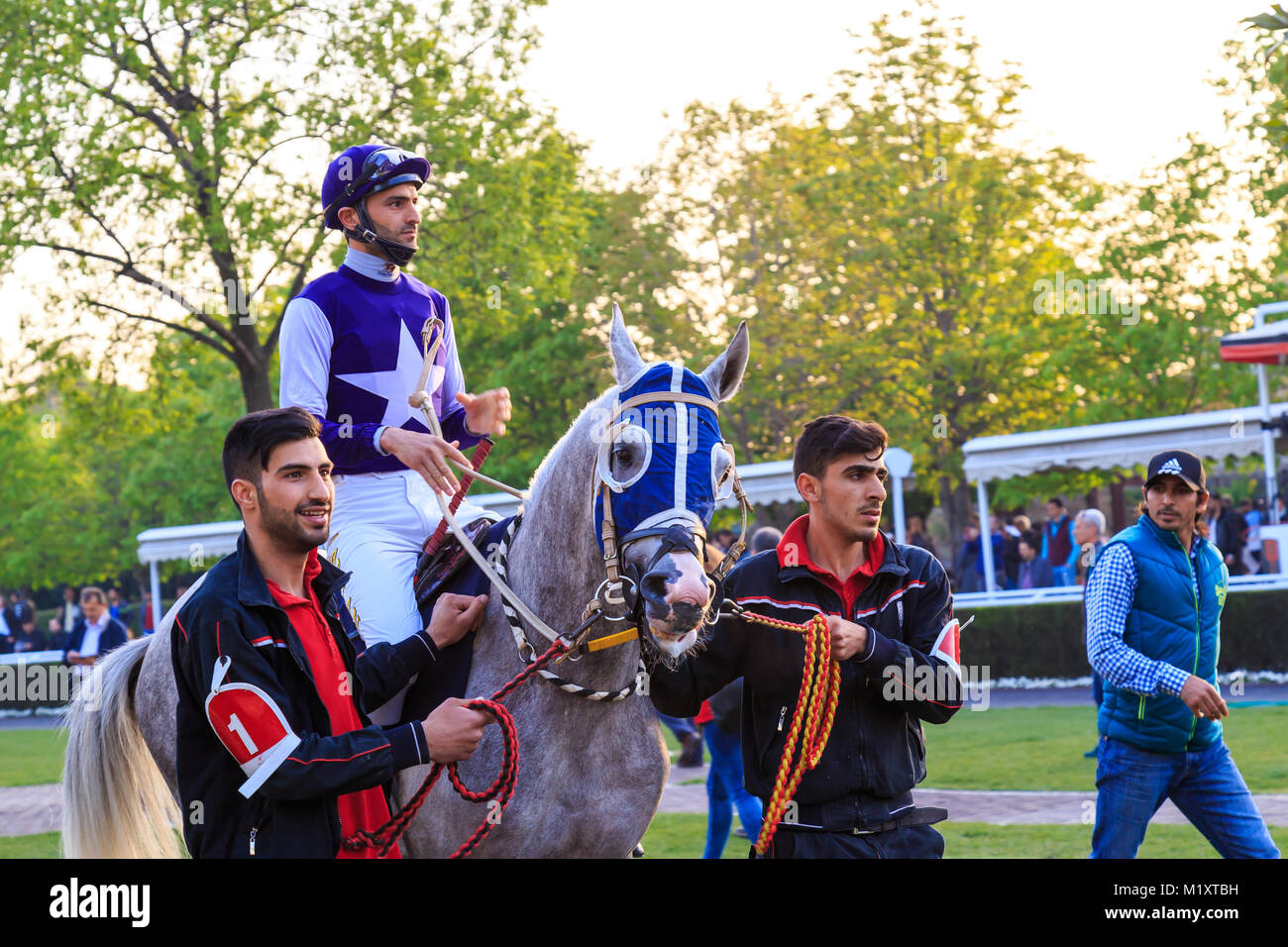 Istanbul, Turkey, April 06, 2016: Race Horse with its jockey and ...