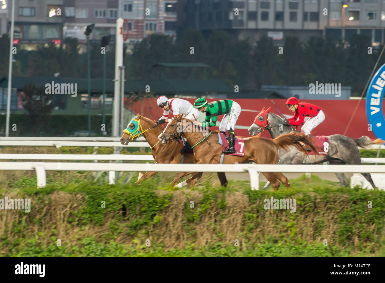 Istanbul, Turkey, April 06, 2016: Race Horse with its jockey and ...