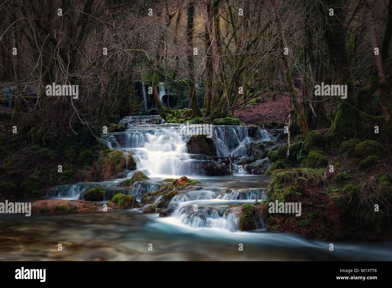 Gradients in nature hi-res stock photography and images - Alamy