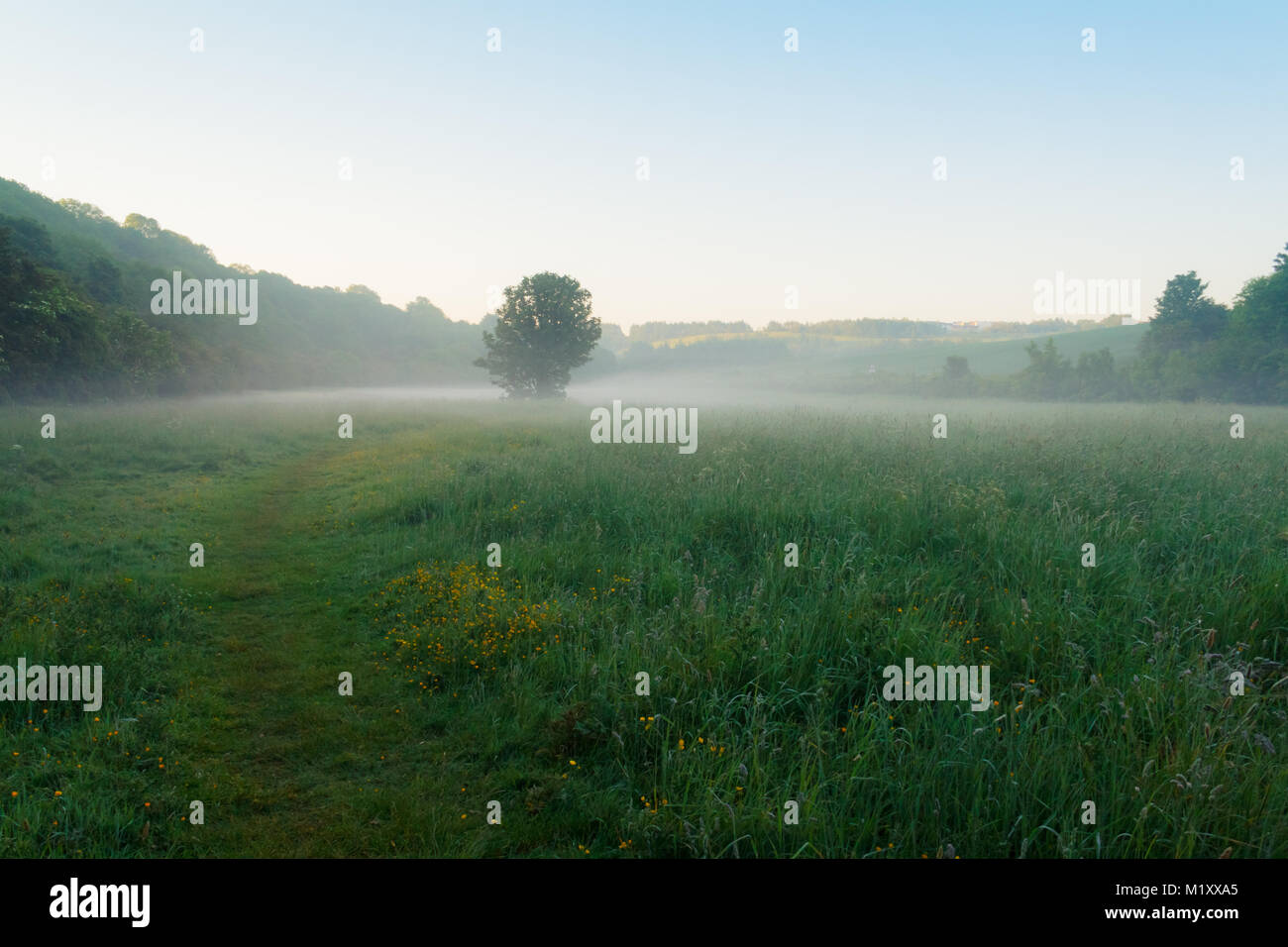 Trodden hi-res stock photography and images - Alamy