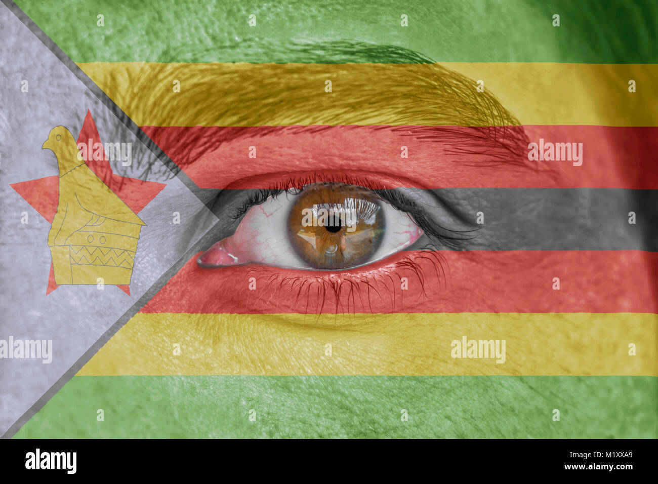 Human face and eye painted with flag of Zimbabwe Stock Photo - Alamy