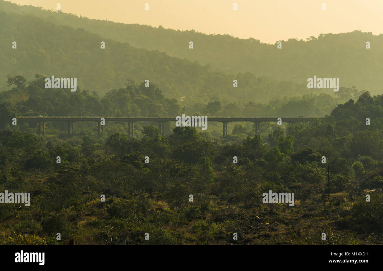 distant view of a Long bridge connecting two mountains in the forest ...