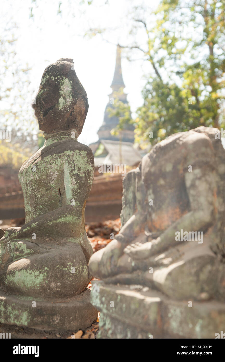 Wat umong park hi-res stock photography and images - Alamy