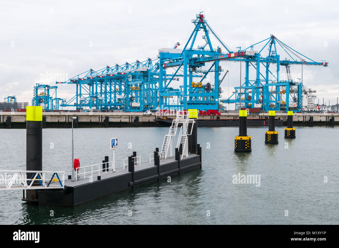 Automated cargo terminals hi-res stock photography and images - Alamy