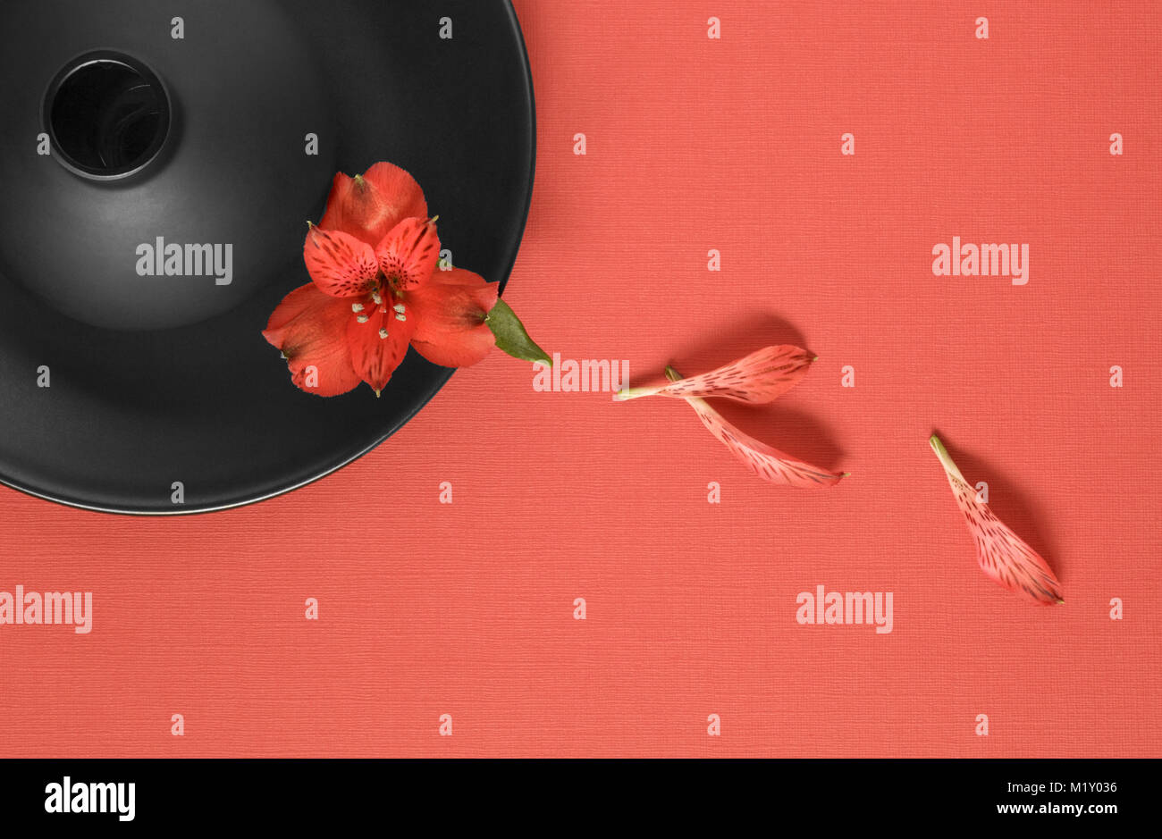 Black round hi-res stock photography and images - Alamy