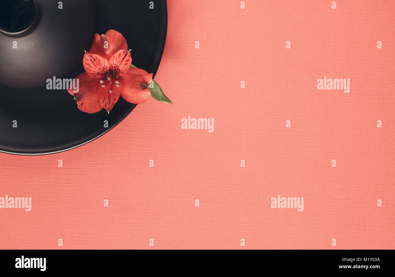 Black round vase and plate on red background Stock Photo - Alamy