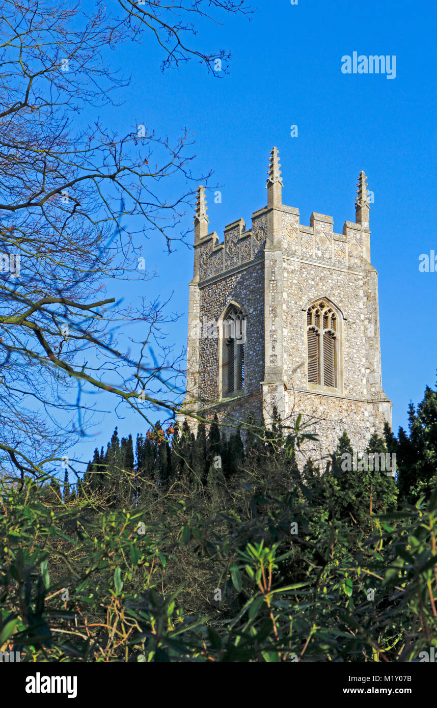 A view of the tower of the parish church of St Botolph seen above trees ...