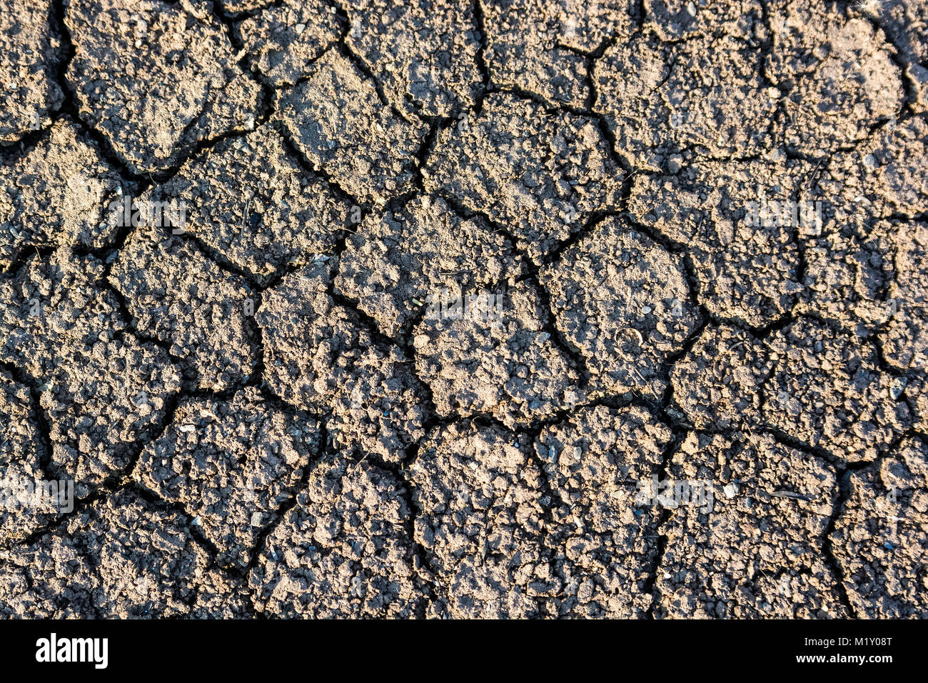Dry fall ground with cracks Stock Photo - Alamy