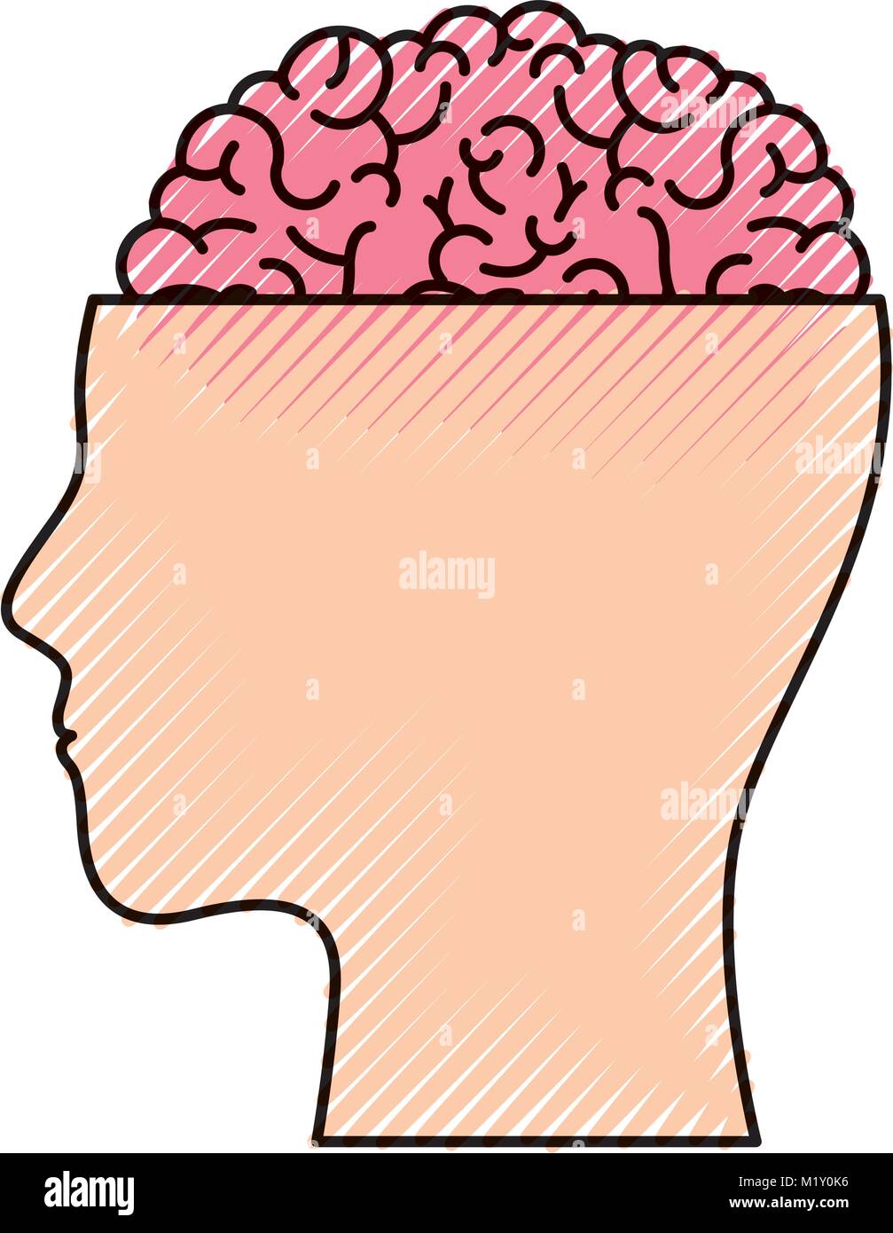 human face silhouette with brain exposed in colored crayon silhouette ...