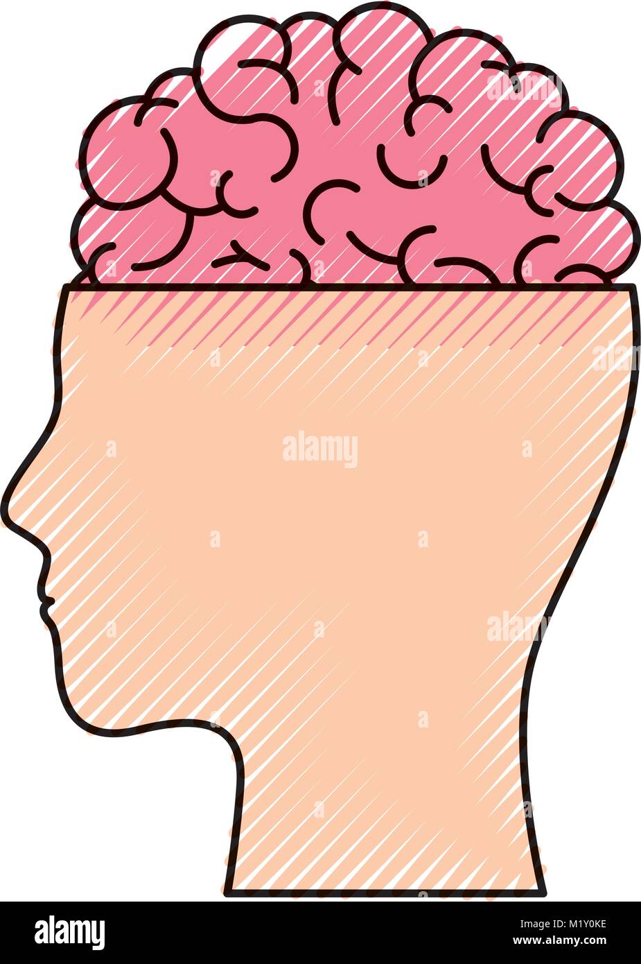 human face silhouette with brain exposed in colored crayon silhouette ...