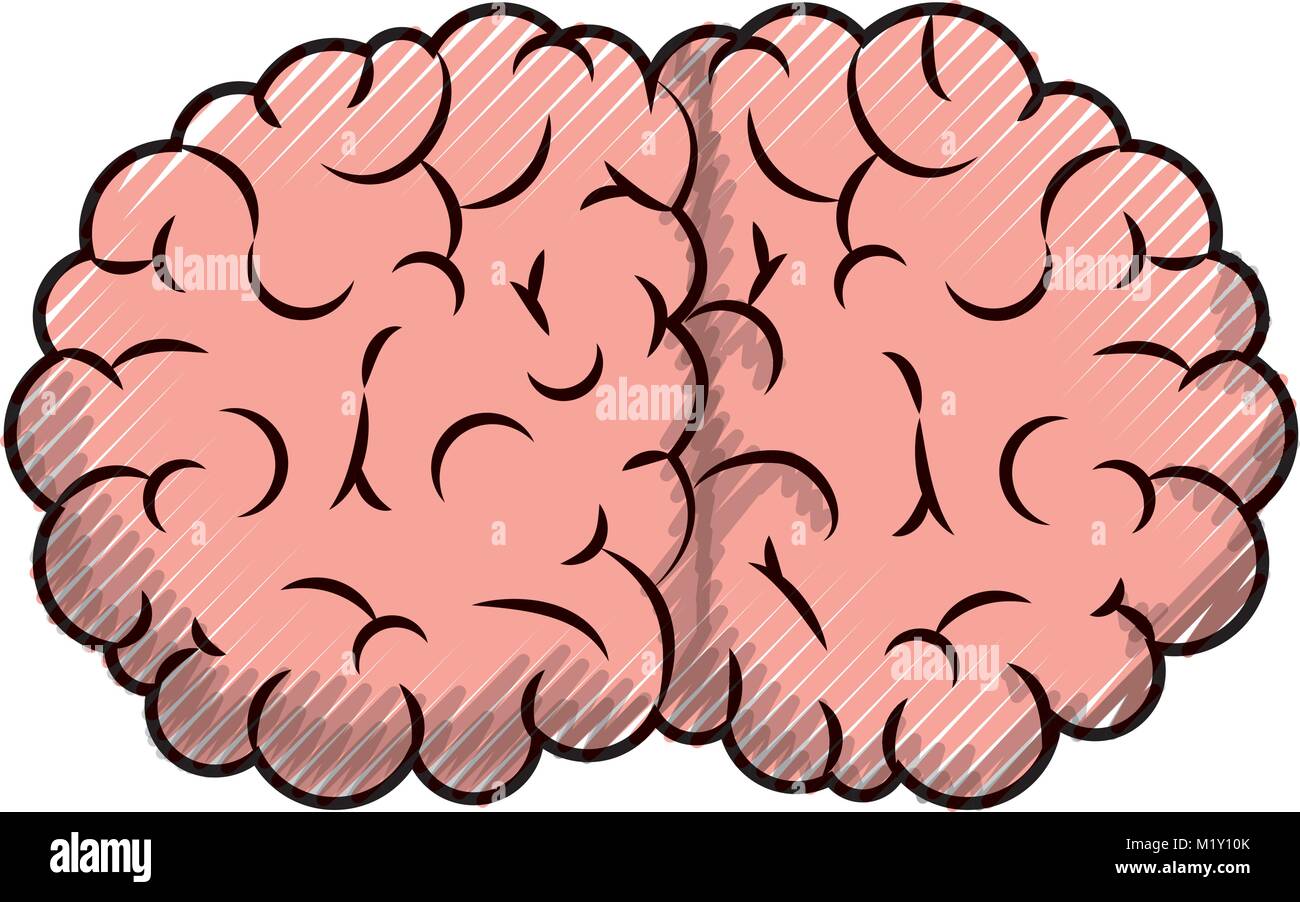 brain side view in colored crayon silhouette with black thin contour ...