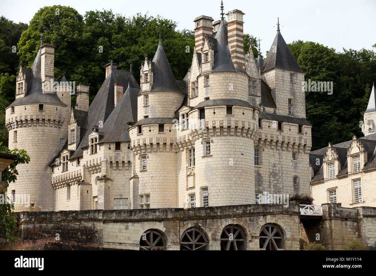 Usse forest hi-res stock photography and images - Alamy