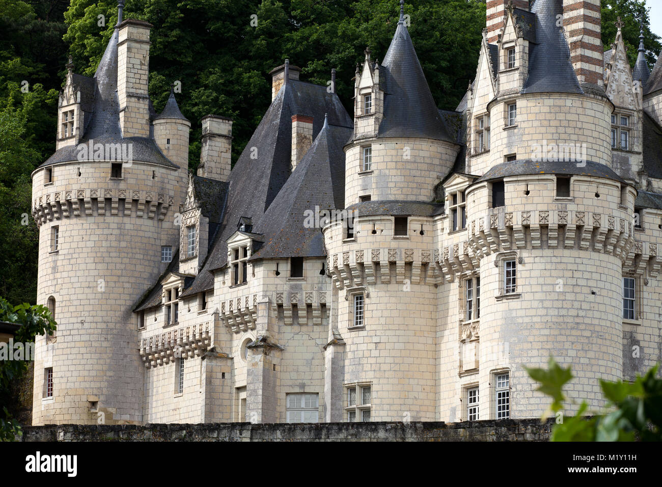 Castel of Rigny-Usse Known as the Sleeping Beauty Castle and built in ...