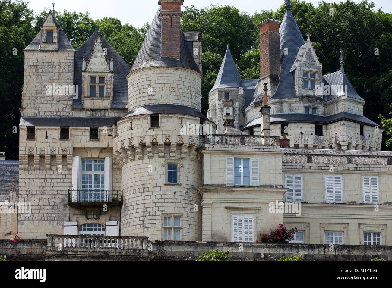 Usse forest hi-res stock photography and images - Alamy