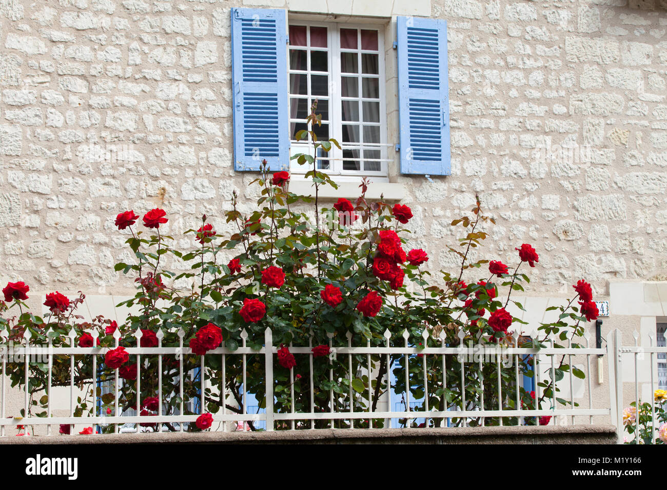 The romantic window with red roses Stock Photo - Alamy